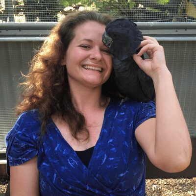 home - The OCD Stories